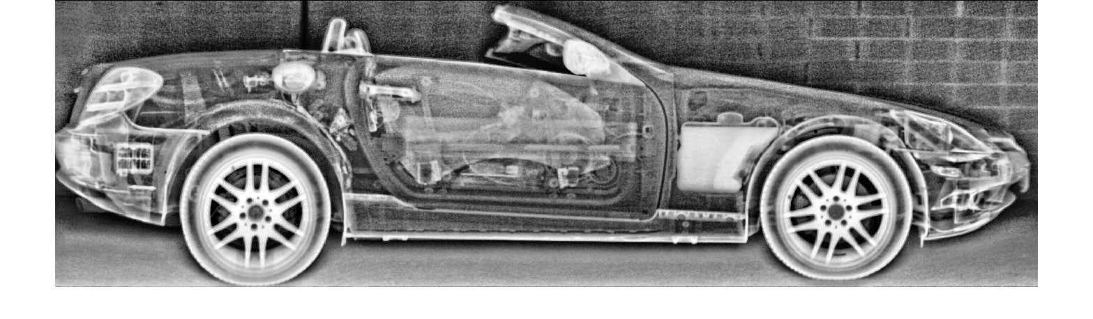 NUCSAFE Compton Back Scatter - Euro Teck